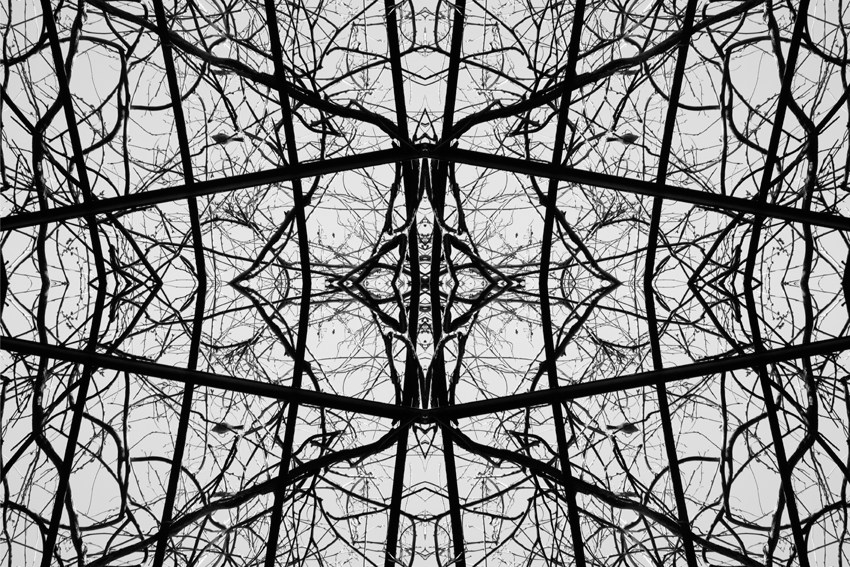 Central-Park-Bird – Rumpelstil & art